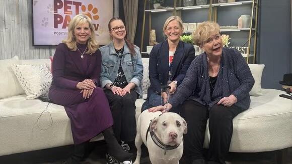 ‘Pet Pals TV:’ Lucci’s House Bully Rescue combats stigma against the ...