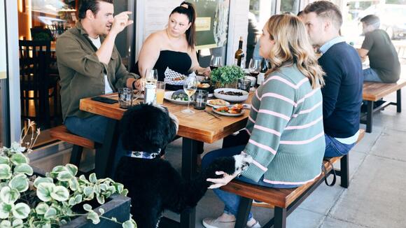 Kansas City's dog-friendly guide - NewsBreak