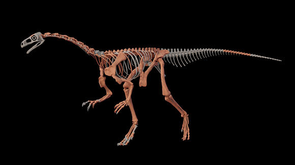 11 Mind-Blowing Discoveries That Changed Our Understanding of Dinosaurs ...