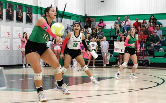 Ladycats drop district matchup against Perrin-Whitt Lady Pirates ...