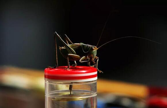 Texas Weather: Cold Snap and Strong Winds After This Weekend - NewsBreak