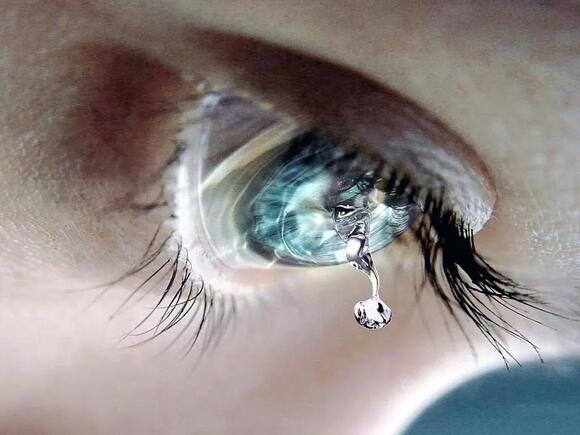 Living on Air: How the Cornea Survives Without a Direct Blood Supply ...