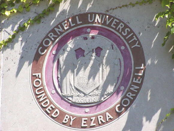 Update: Cornell reopening at noon Monday and classes resuming - NewsBreak