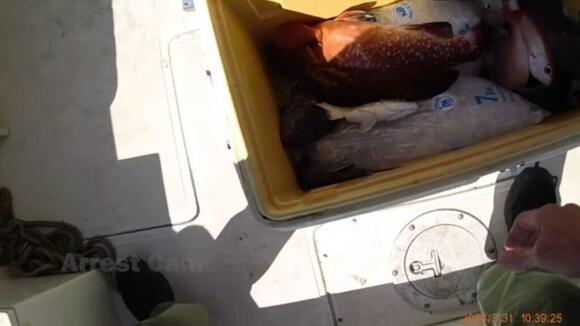Officers with the Florida Fish and Wildlife were on patrol when they ...