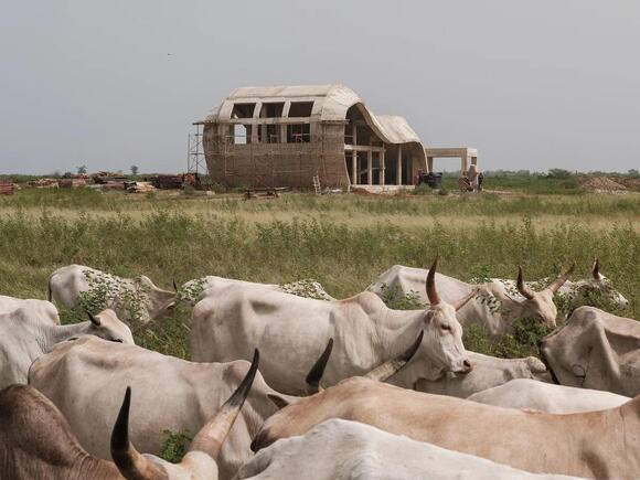 Akon Net Worth 2025: What Happened to the Money, Music, and Akon City ...