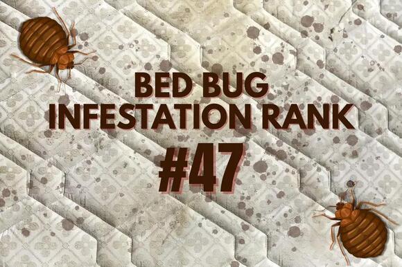 My Strange Addiction Features Illinois Bug Eater - NewsBreak