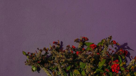 15 Color Choices That Influence the Mood of Every Room - NewsBreak