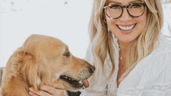 Hilary Duff’s Dog Izzy: Breed, Age, and More - NewsBreak