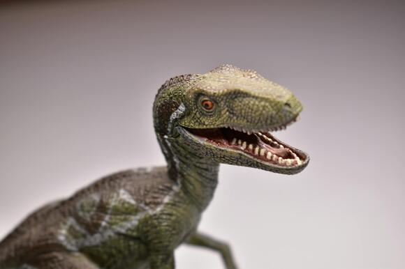 How Fast Could Velociraptors Really Run? - NewsBreak