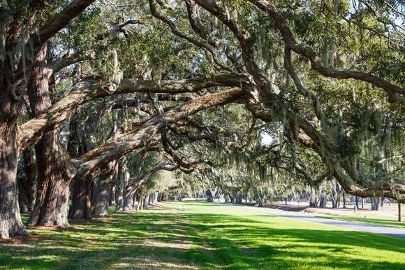 20 budget-friendly towns in Louisiana - NewsBreak