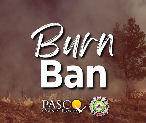 Emergency burn ban remains in effect for Pasco County - NewsBreak