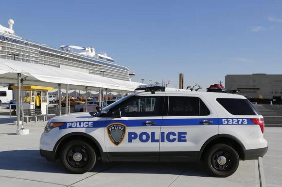 Fight forces Royal Caribbean cruise ship to turn around and go back to ...
