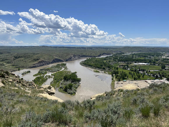 Montana FWP: Don’t eat the sucker fish - NewsBreak