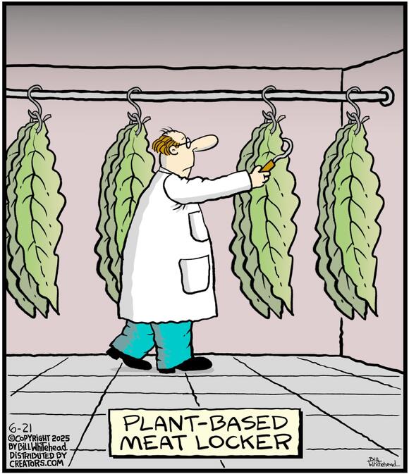 Daily Comics: "Free Range" by Bill Whitehead - NewsBreak