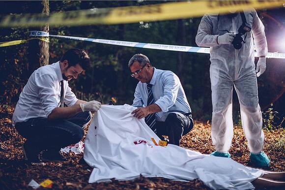 5 Types of Felonies in Texas You Should Know About - NewsBreak