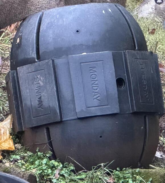 🎁 Freebies Up for Grabs in Corvallis — Furniture, Tools & More - NewsBreak