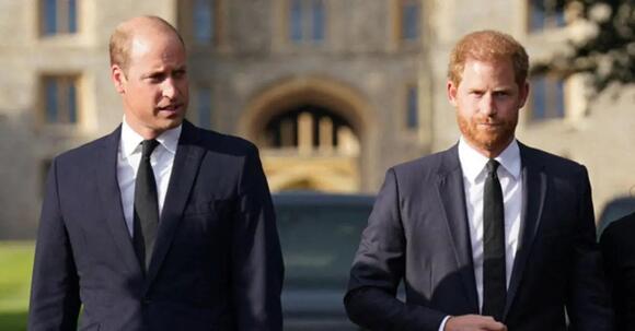 EXCLUSIVE: Prince William Wallops Exiled Brother Harry With Horrific ...