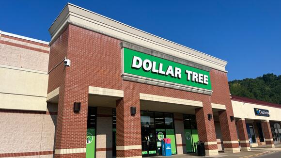 4 Dollar Tree Items That Outshine Amazon in Price and Quality - NewsBreak