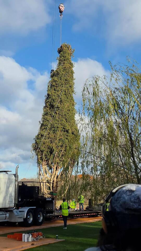 Everything You Need To Know About Dickens Christmas 2025 - NewsBreak