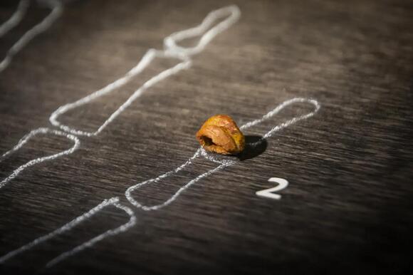 What Ancient DNA Revealed About Humanity’s Most Mysterious Relatives ...