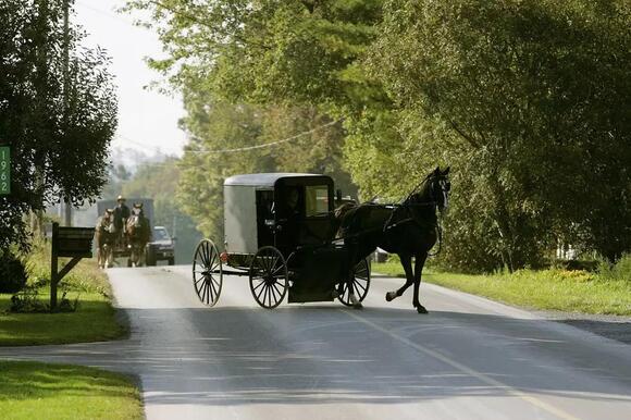 Pick-Up Truck Hits Amish Buggy in New York State, Killing Horse - NewsBreak