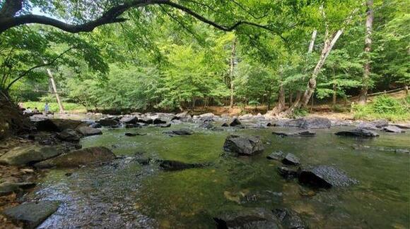 Eno River State Park Hosts 1st Saturday Hike on Cox Mountain Trail ...