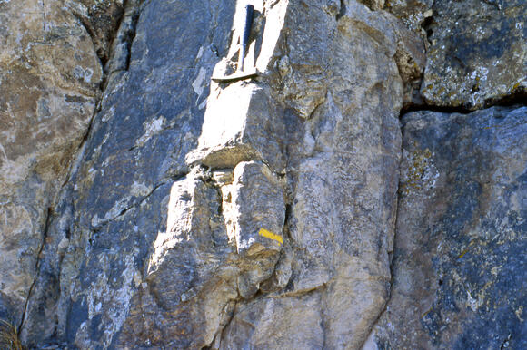 The Claw That Shouldn’t Exist: A Fossil That Defied Classification ...