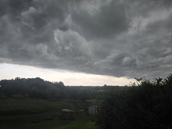 Trees down, power outages reported after storms travel through the Tri ...