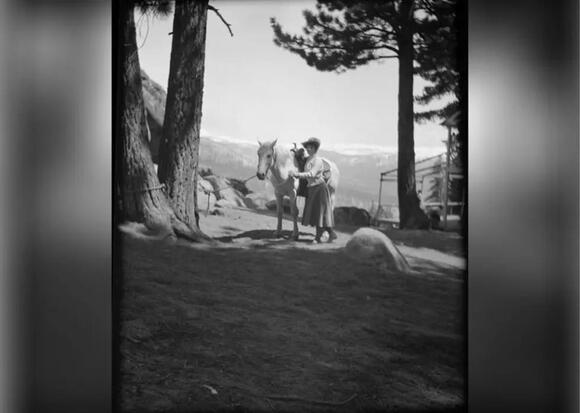 How National Public Lands Day Enhances Parks in Washington - NewsBreak