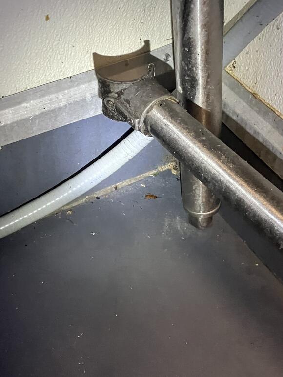 The Wicked Hop to remain closed following MHD Friday inspection - NewsBreak