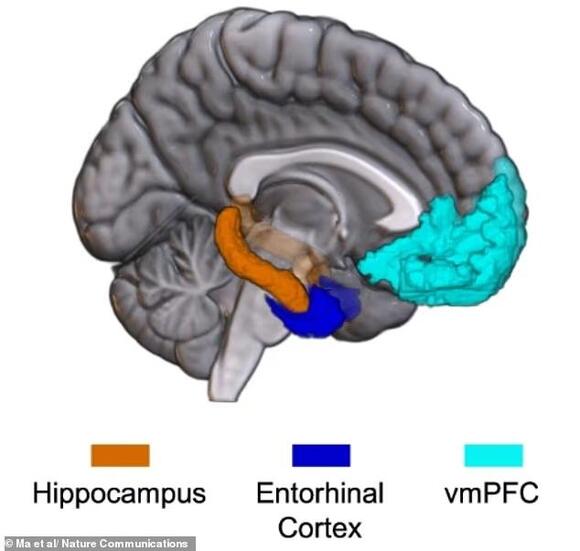 Incredible map reveals how the brain processes emotions - and why anger ...