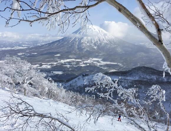 Foreign Teen Skier Dies in Tragic Accident at Niseko Resort, Japan ...