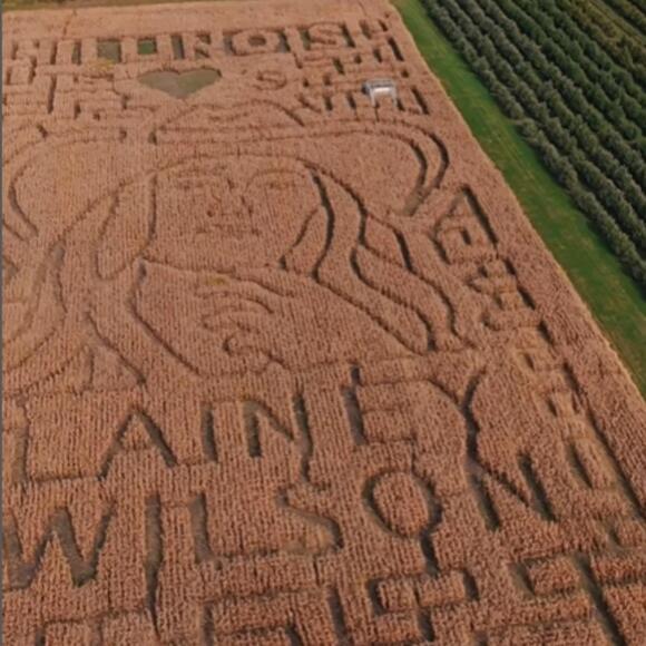 Take a Close Look at Lainey Wilson’s Feet – Did You Know They Could Do ...