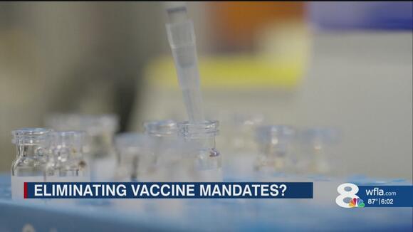 COVID vaccines now easier to obtain at Florida Publix, Walgreens ...