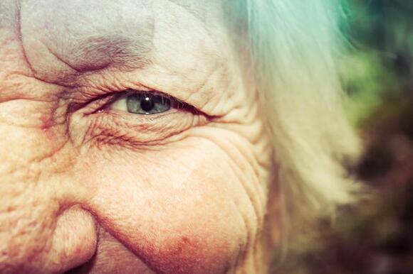 The Quest for Immortality: Can Science Unlock the Secrets of Aging ...