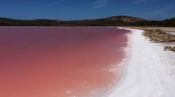 Scientists Still Don’t Know Why This Lake Turns Pink - NewsBreak