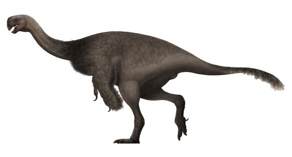 Fastest Dinosaurs Ranked: Who Was the Prehistoric Speed Demon? - NewsBreak