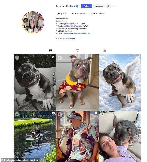 Beloved influencer dog Raffie is dead after Christmas Eve fight with ...