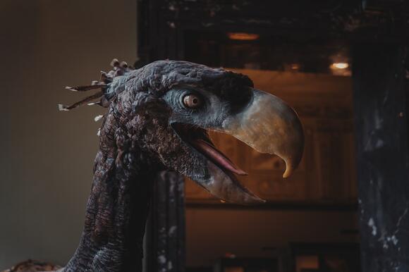 China’s Liaoning Province: Where Feathered Dinosaurs First Came to ...