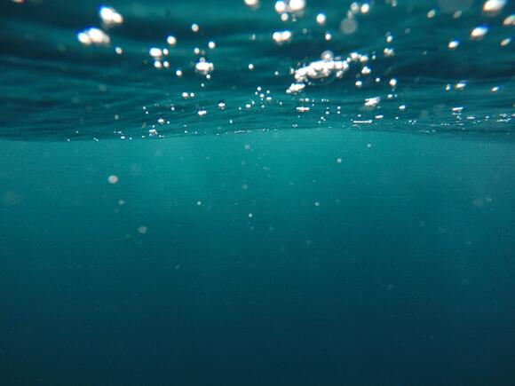 Hairworms Make Their Hosts Jump Into Water to Drown Themselves - NewsBreak