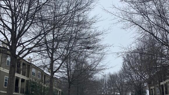 Memphis schools will remain closed Wednesday - NewsBreak