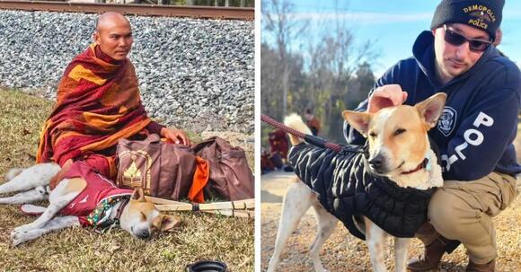 A Rescue Dog Named Aloka Gets a Second Chance After Getting Adopted by ...