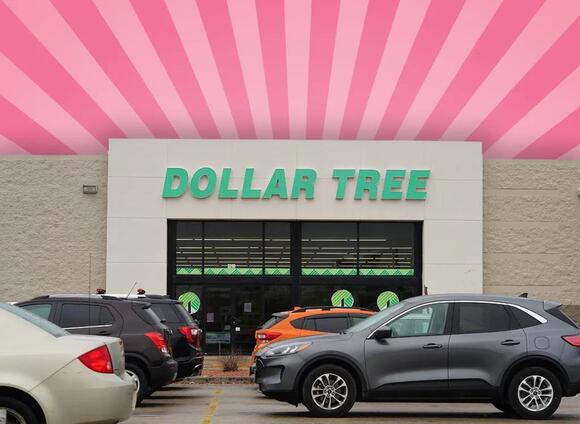 11 Best New Dollar Tree Summer Finds Disappearing From Stores Right Now ...