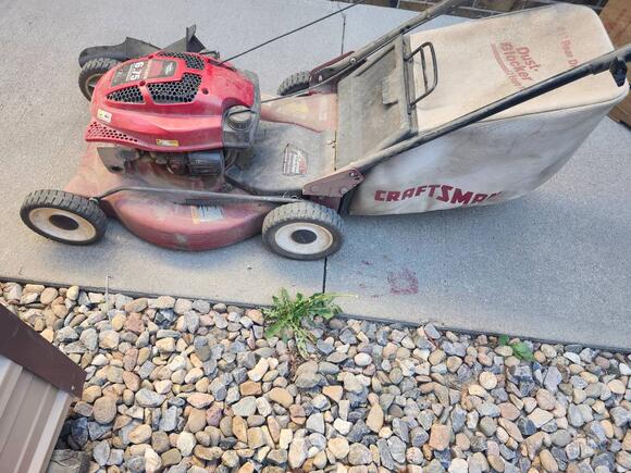 🎁 Freebies Up for Grabs in Wheat Ridge — Furniture, Plants & More ...