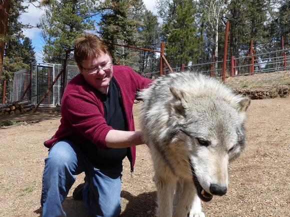 Never Turn Your Back on These 7 Wild Animals – Experts Explain Why ...