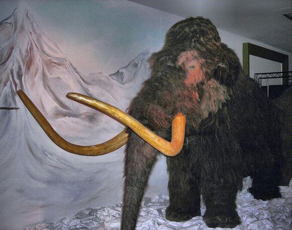 The Last Mammoths: How Some Woolly Mammoths Lived Thousands of Years ...