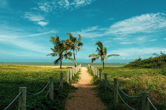 Weather Forecast For Leopold - NewsBreak