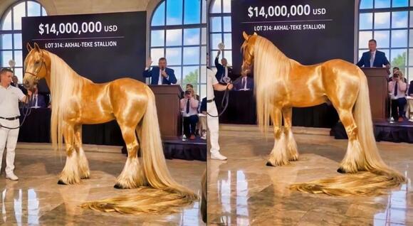 Fact Check: Is The Viral $14-Million Gold Horse Real? - NewsBreak