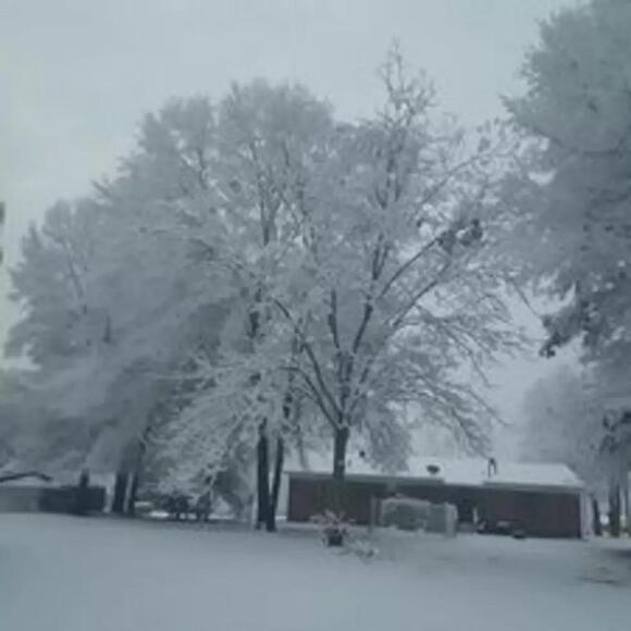 Does Shreveport Have a History of Ice Storms? A Look Back at the ...