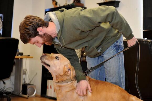 10 States With the Highest Senior Dog Adoption Rates - NewsBreak